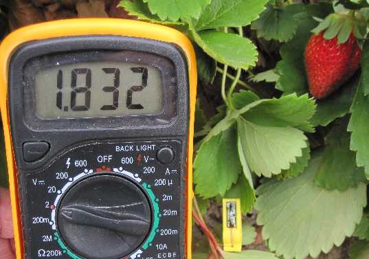 Leaf Sensor and Digital Meter Pak