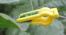 Leaf Sensor Devices